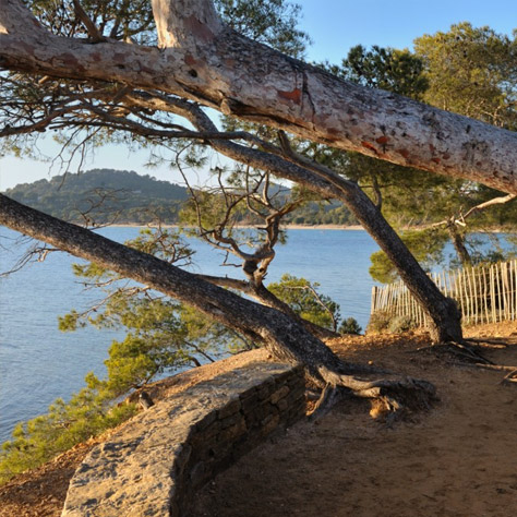 Nos Coins de Paradis® (Our Corners of Paradise)