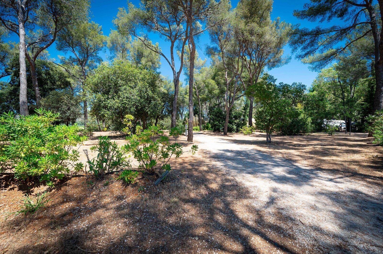 Spacious Premium VIP tent, caravan and camper van pitches with private ...